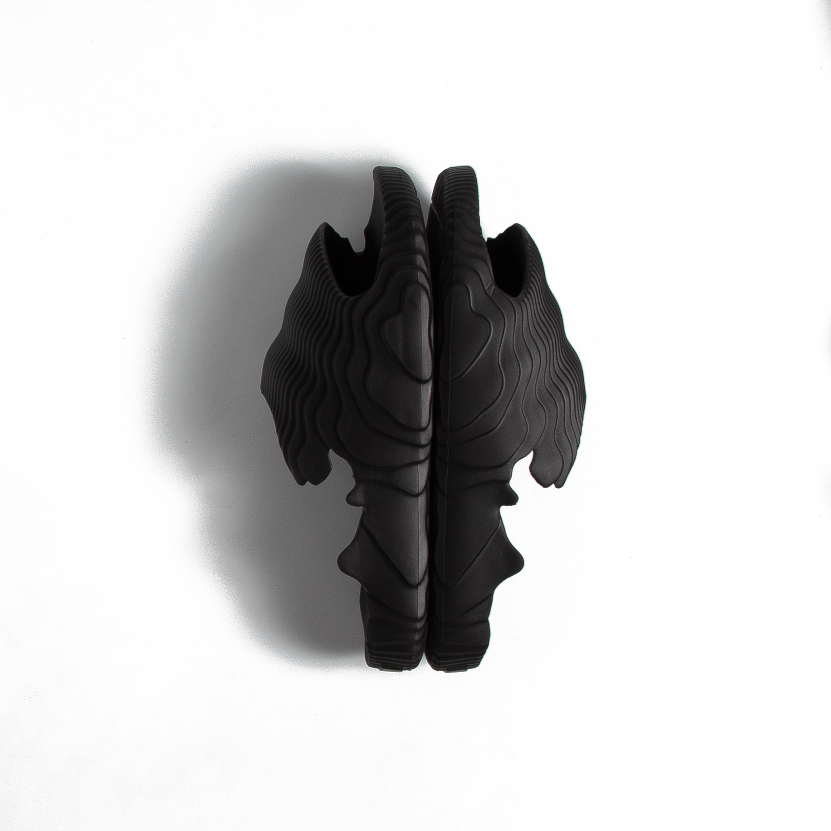 The Auracles by Chris Brown & John Dean