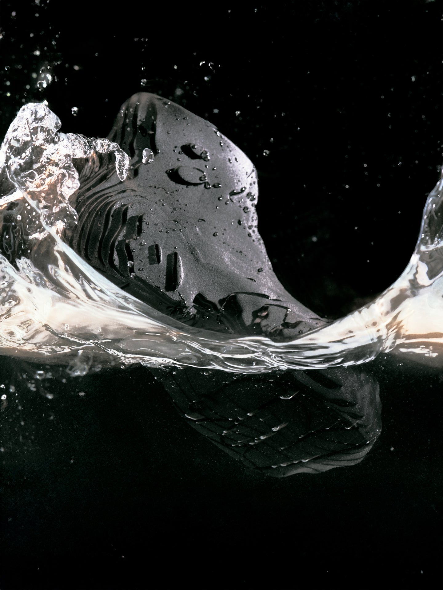 WE SHINING – The Auracles